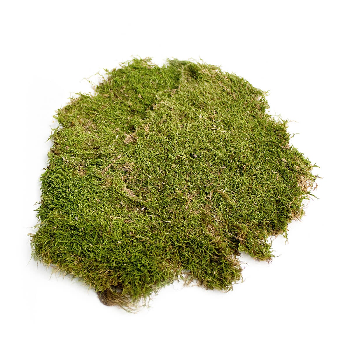 SuperMoss | Dried Sheet Moss