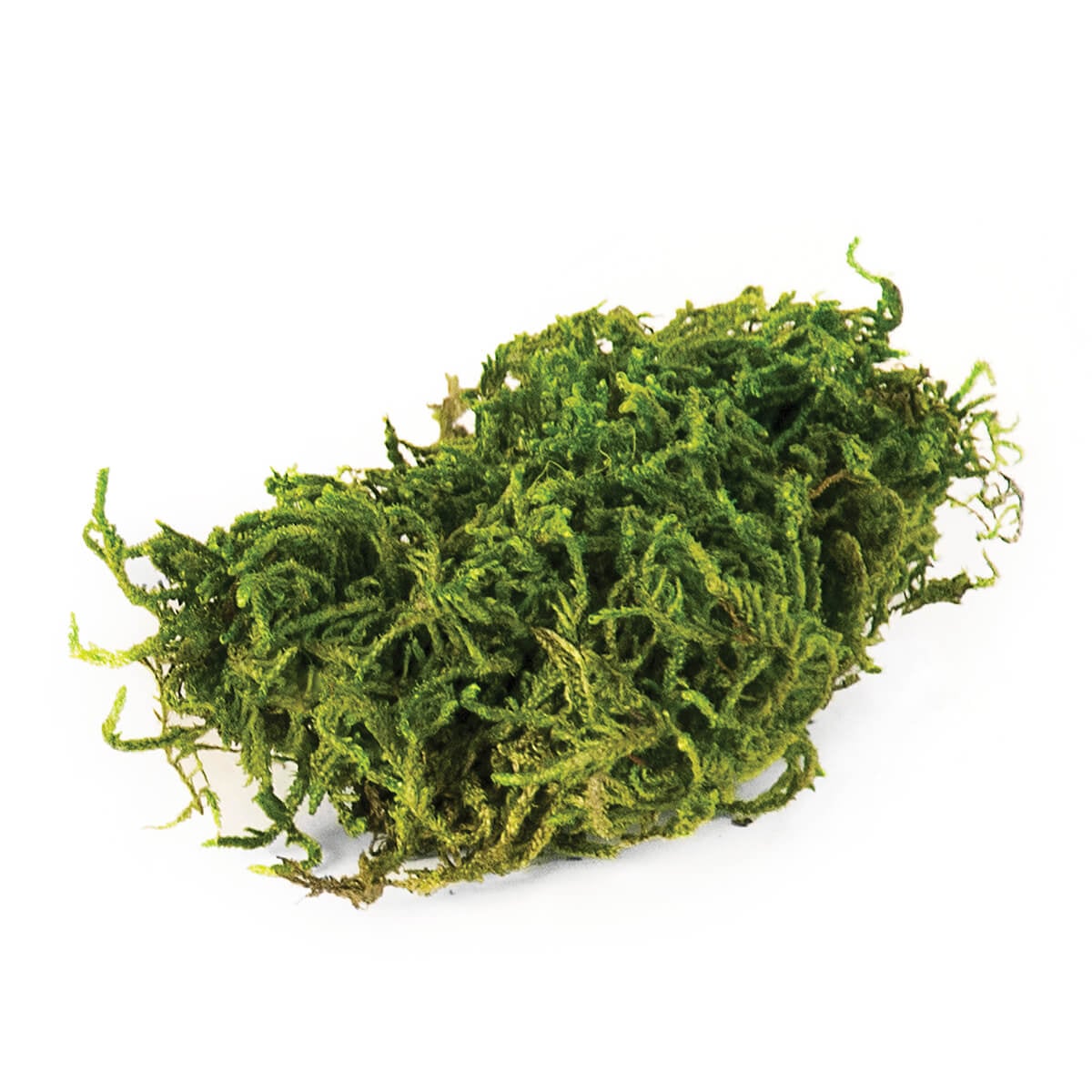 SuperMoss - Feather Moss Preserved