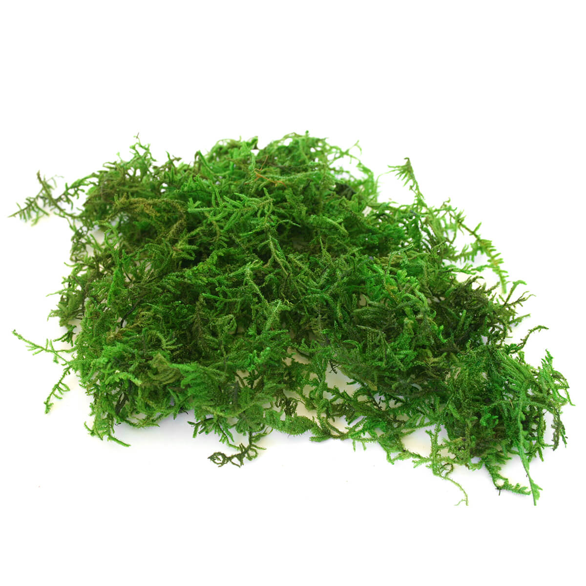 SuperMoss | Preserved Mountain Moss