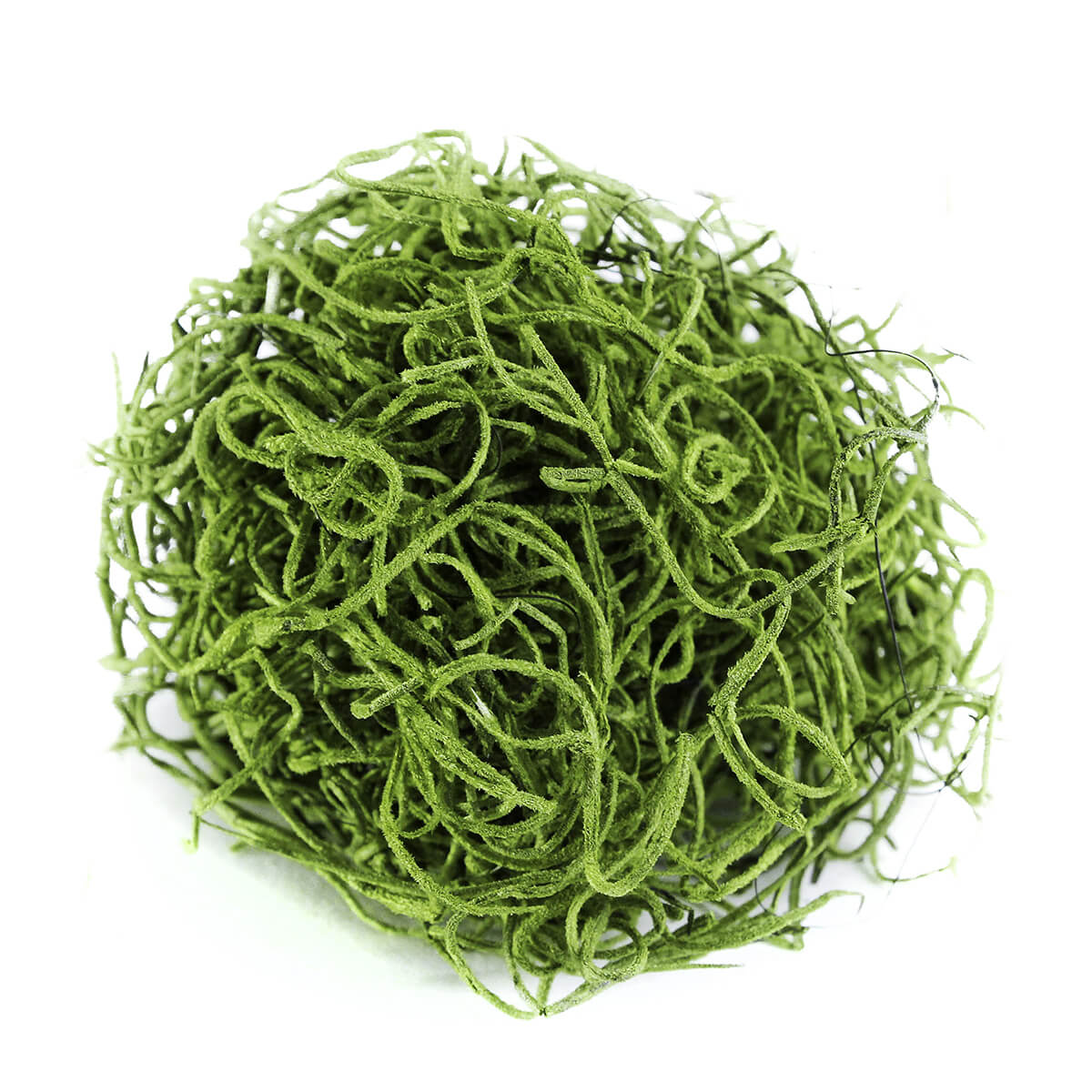 SuperMoss | Spanish Moss Preserved