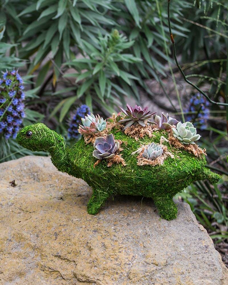 SuperMoss - Deco Moss Animal Topiary, Turtle, 15in