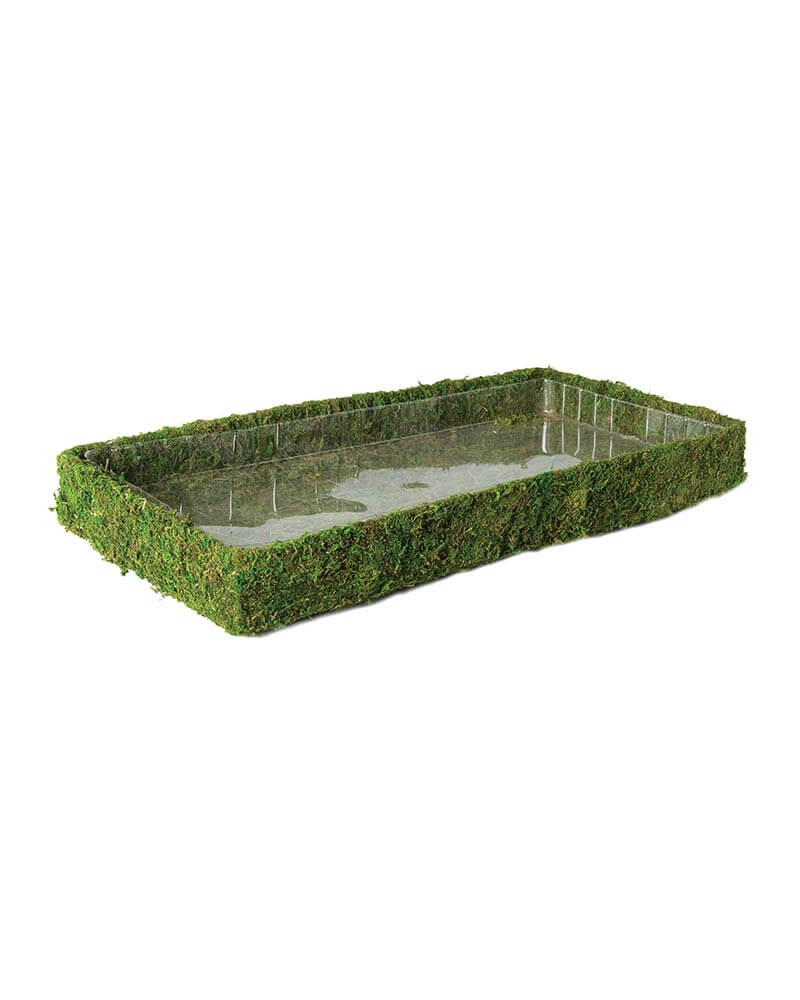 SuperMoss - Rectangular Propagation Tray