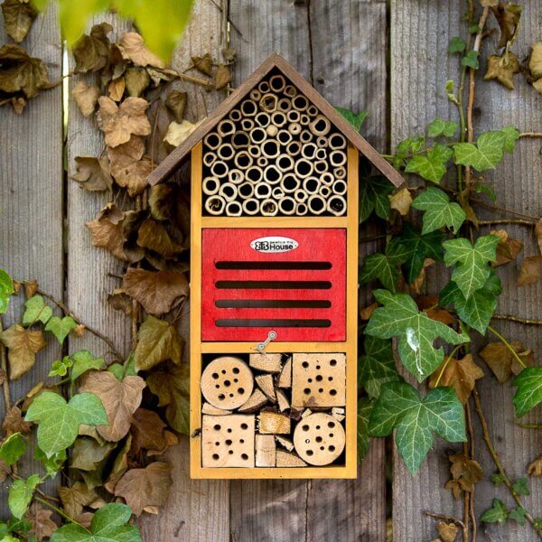 SuperMoss - Retail Beneficial Bug House Display