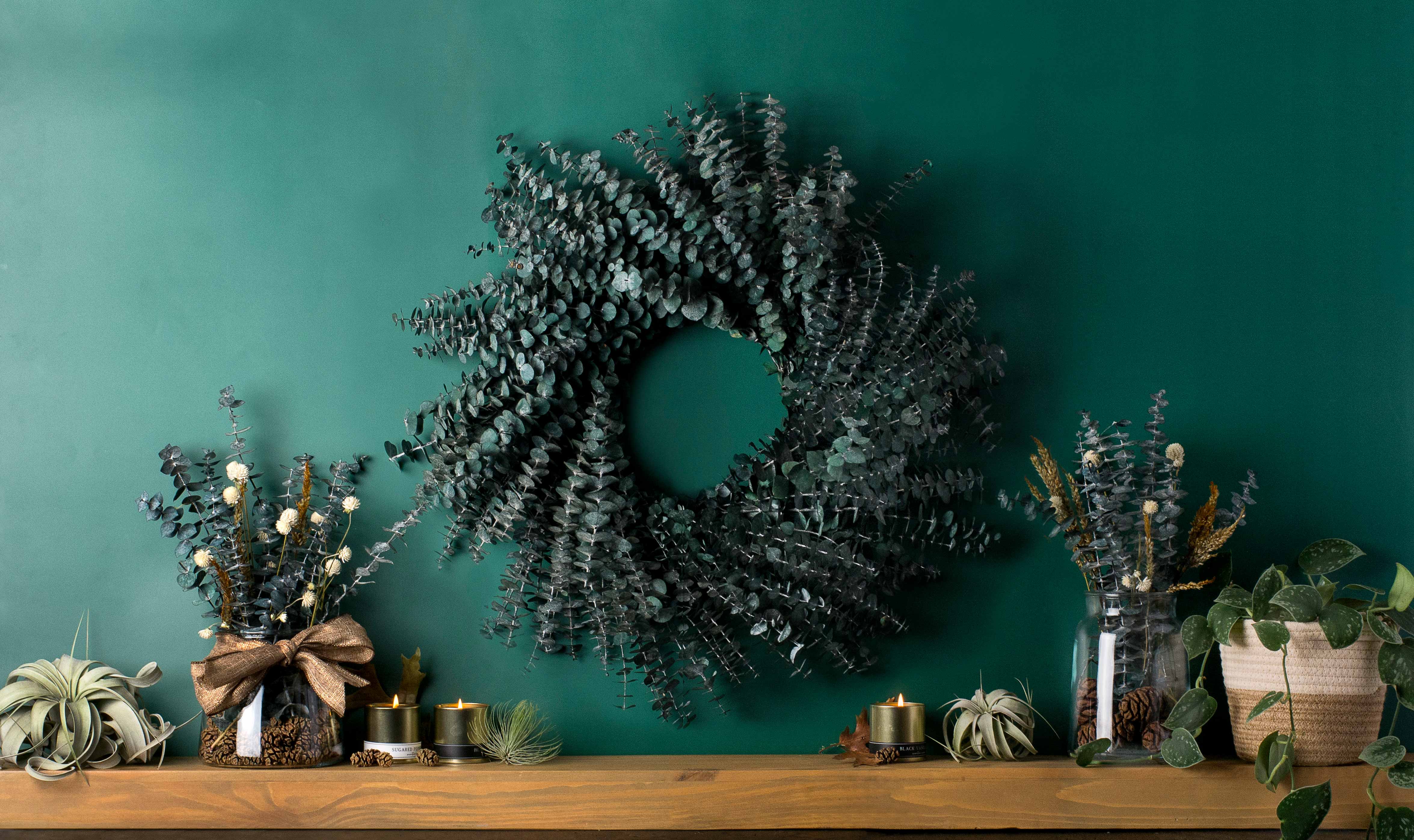 SuperMoss | Buy Moss, Hanging Baskets, and Floral Accessories Online!
