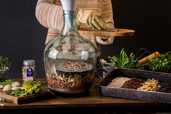 How to Make A Bottle Garden-DIY Closed Terrarium - SuperMoss