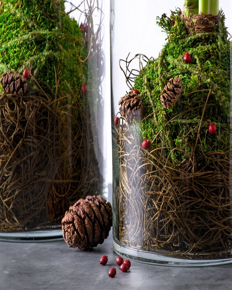 SuperMoss - Mini Redwood Pine Cones