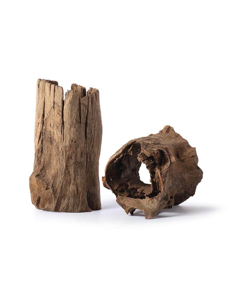 SuperMoss - Hollow Log