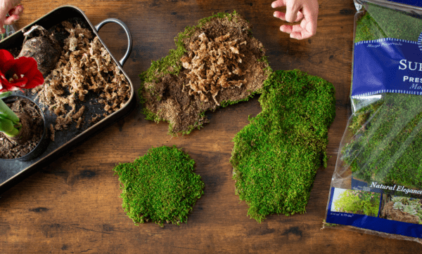 SuperMoss | Sheet Moss Preserved