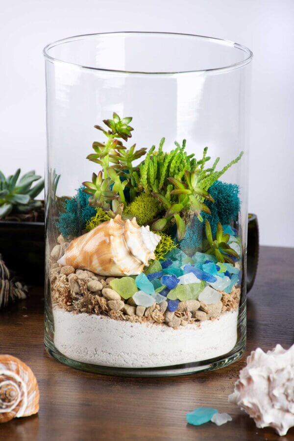 Beach Terrarium Kit - SuperMoss