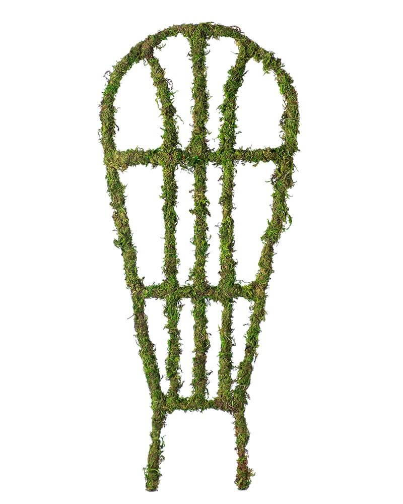 SuperMoss - Arch Trellis