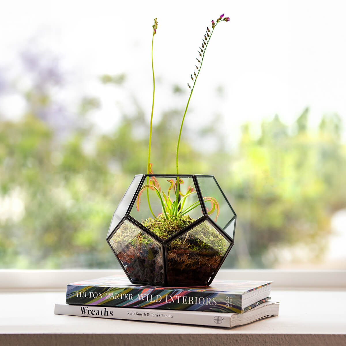SuperMoss Glass Terrarium